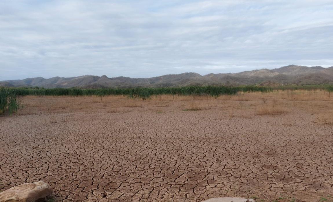 Agropecuarios piden garantizar la siembra de verano ante la emergencia ...